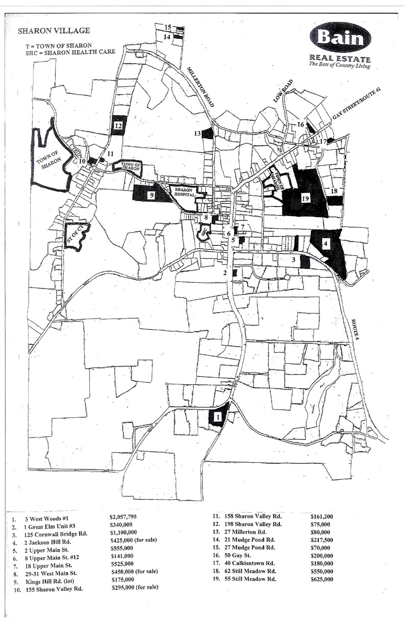 Posts in category 'Sharon Village'
